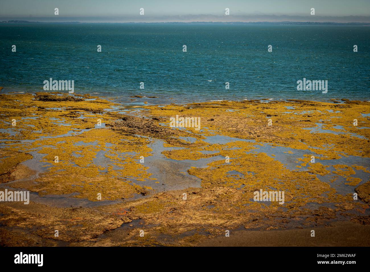 Corinella,Coronet Bay Australia Victoria Stock Photo - Alamy