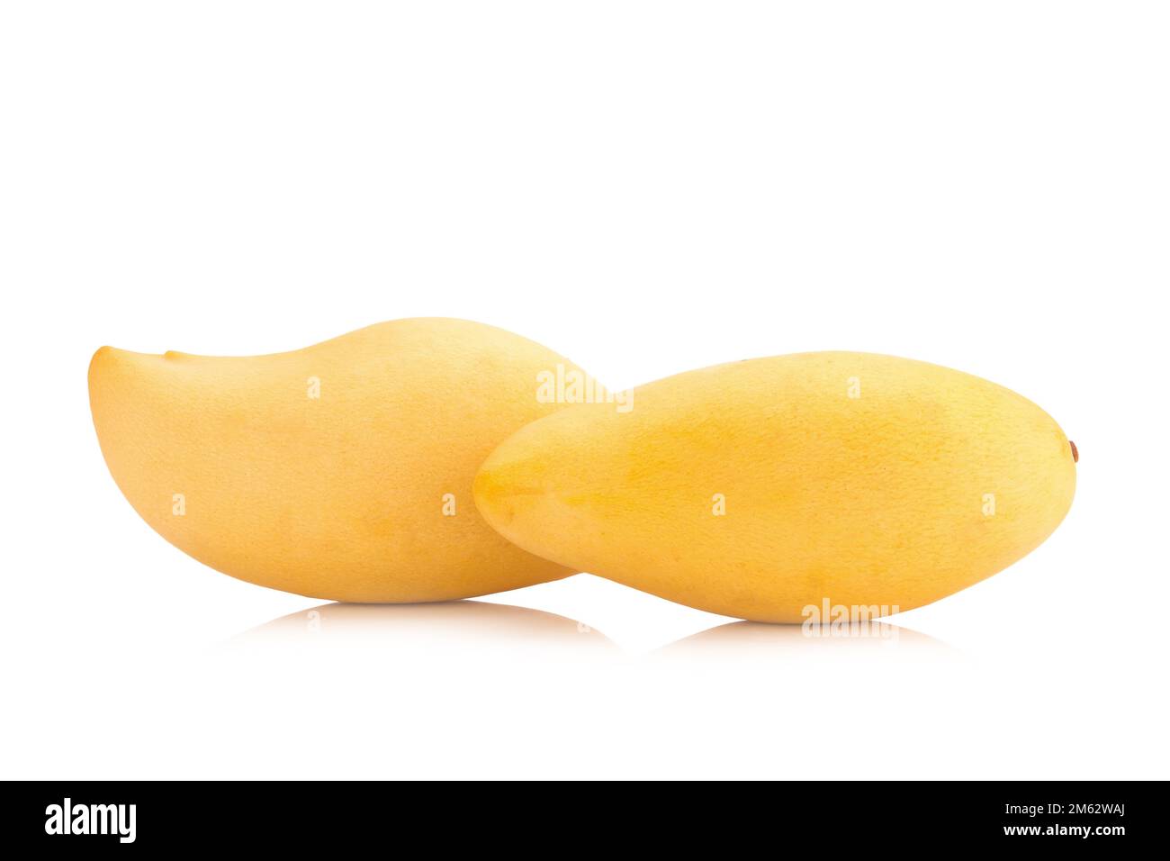 Mango isolated no white background Stock Photo - Alamy