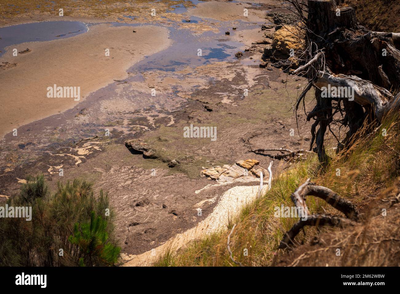Corinella,Coronet Bay Australia Victoria Stock Photo - Alamy