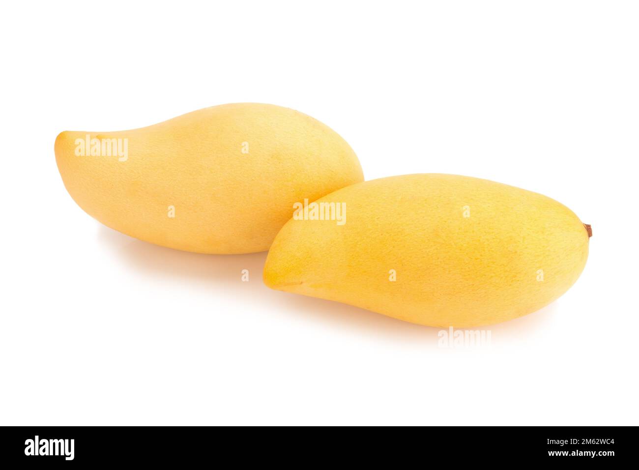 Mango isolated no white background Stock Photo - Alamy