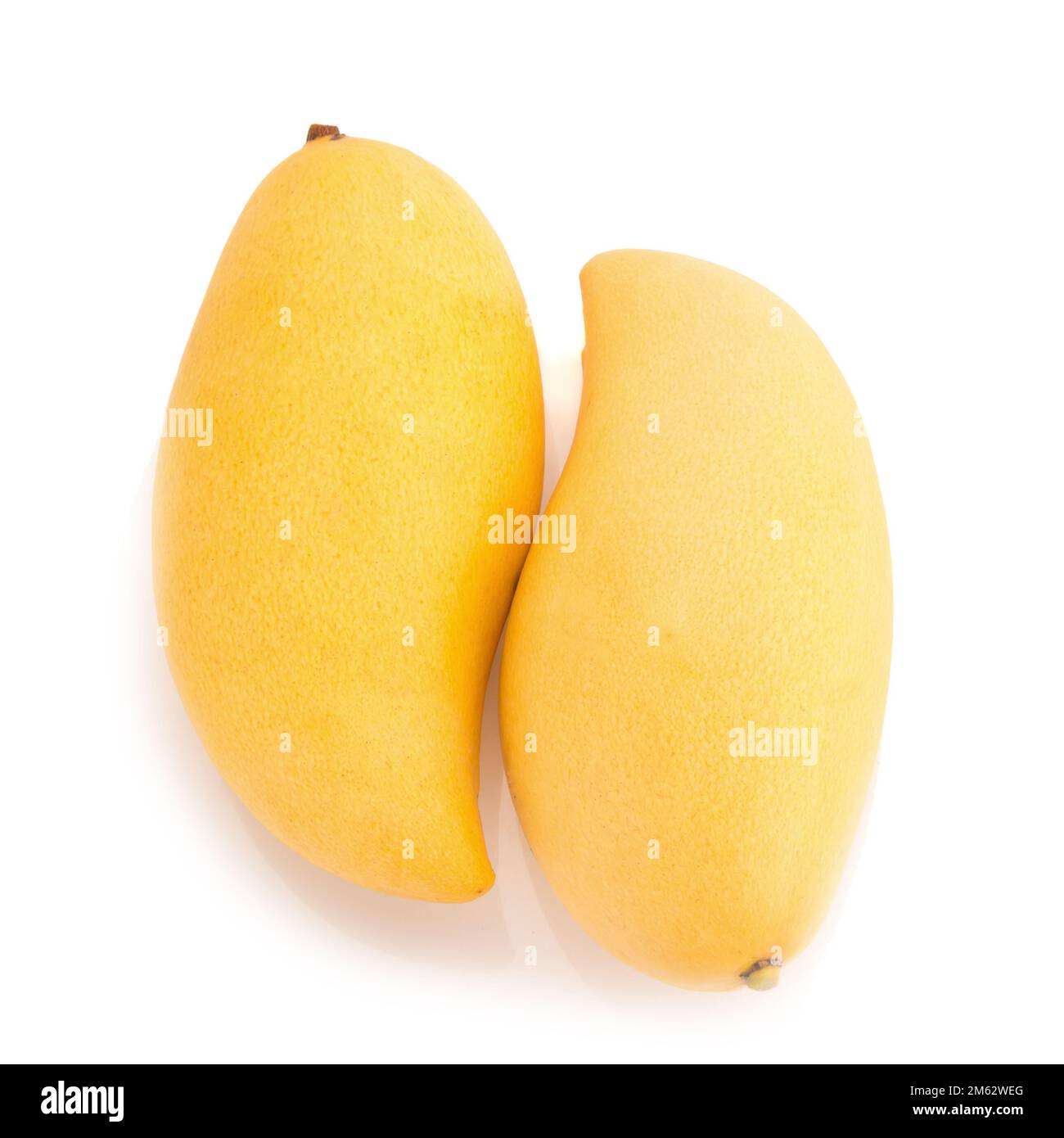 Mango isolated no white background Stock Photo - Alamy
