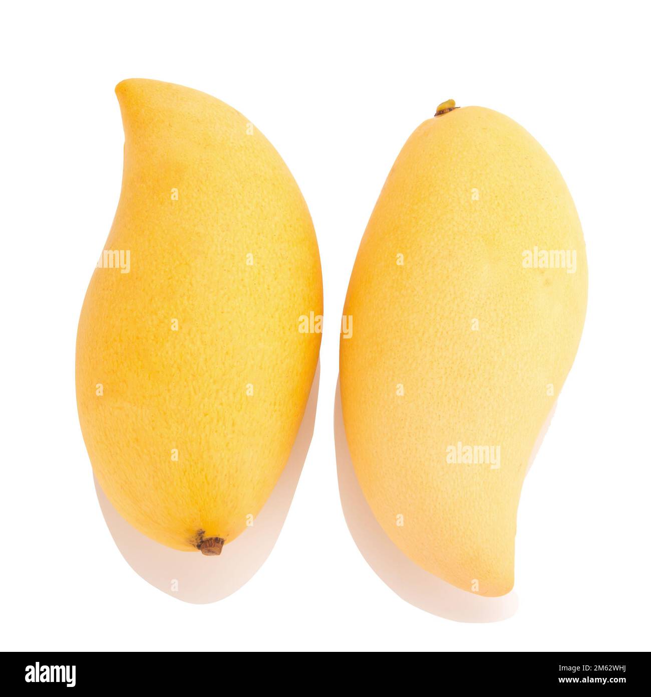 Mango isolated no white background Stock Photo - Alamy