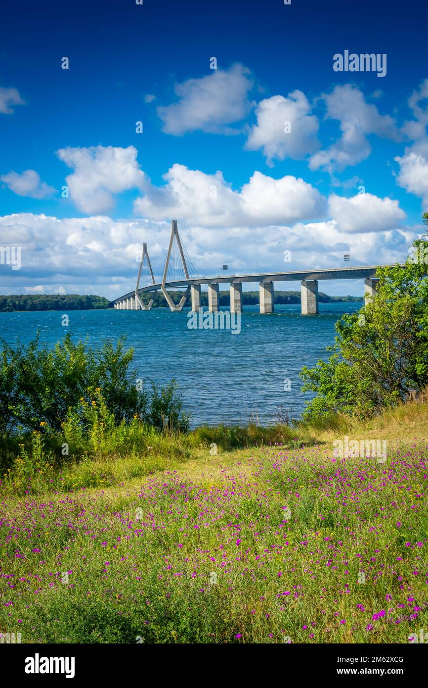 Suspended bridge of Farø connecting two islands in Denmark Stock Photo ...