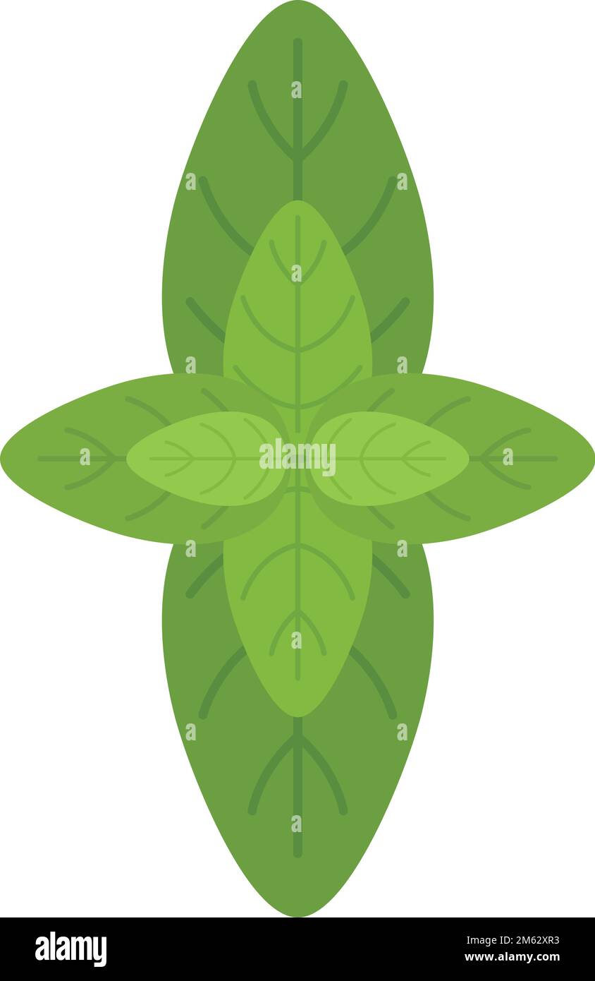 Basil herb icon flat vector. Spice leaf. Leaves plant isolated Stock ...