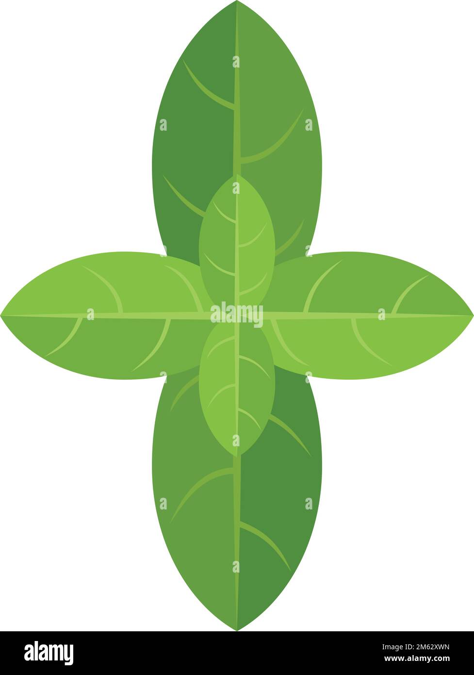 Basil leaves icon flat vector. Herb plant. Leaf spice isolated Stock ...