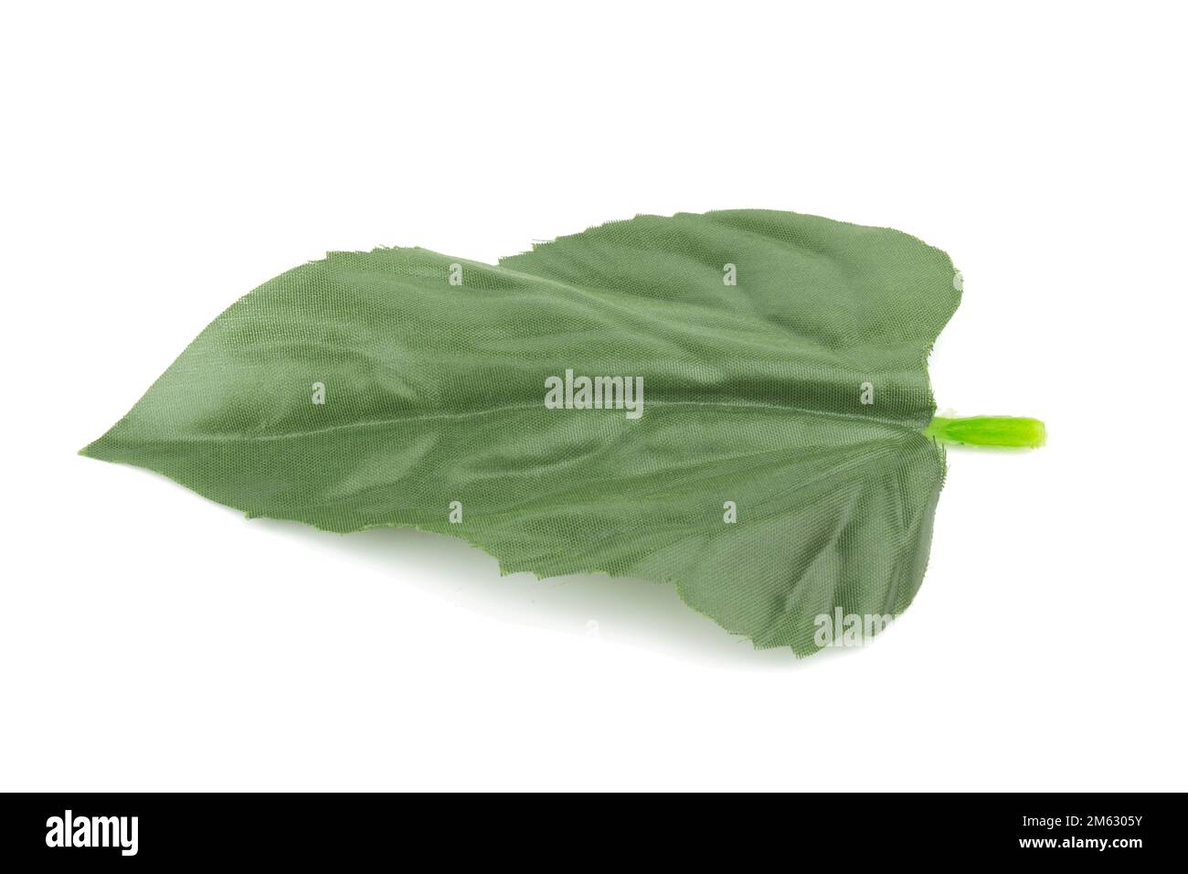 fake leaf isolated on white background Stock Photo - Alamy
