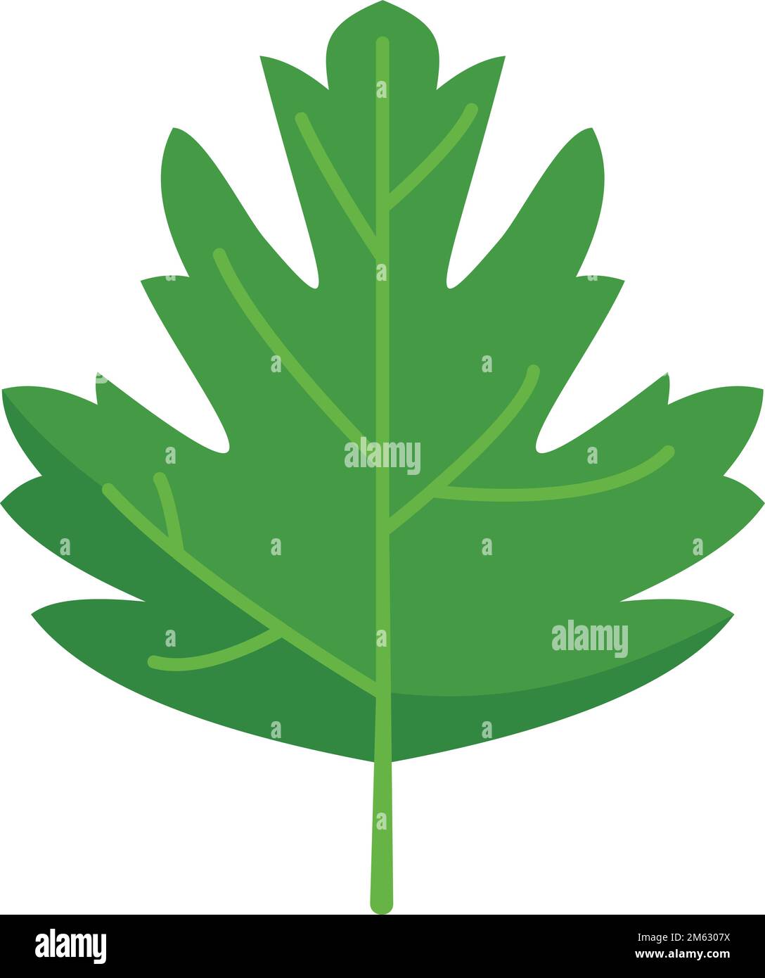 Parsley garnish icon flat vector. Herb plant. Leaf bite isolated Stock ...