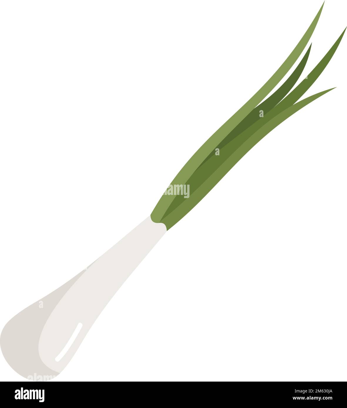 Cut chive icon flat vector. Chinese onion. Fresh herb isolated Stock ...