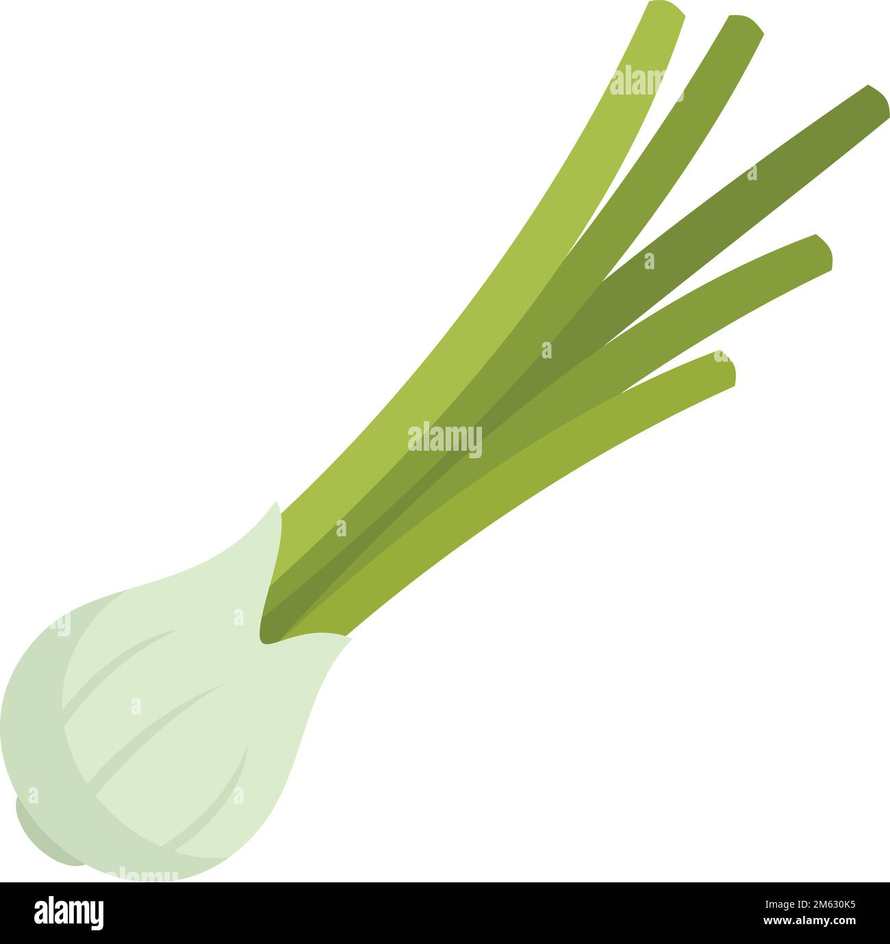 Oregano chive icon flat vector. Chinese onion. Fresh garlic isolated ...