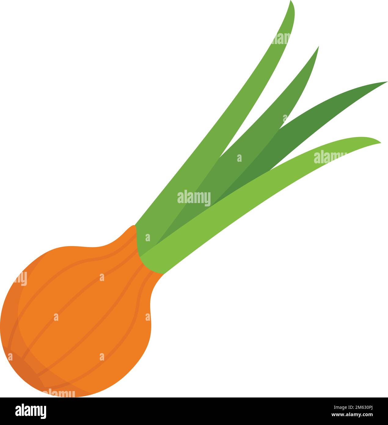 Chive vegetable icon flat vector. Chinese herb. Leek onion isolated ...