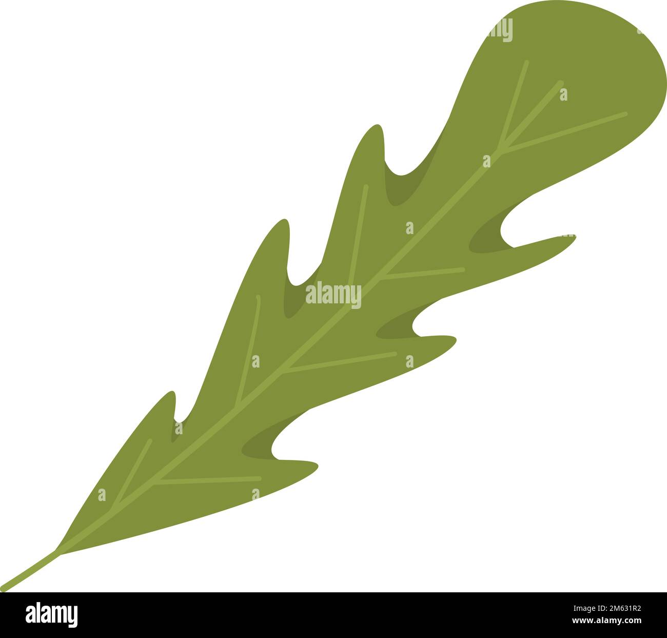 Arugula salad icon flat vector. Rucola leaf. Vegetable plant isolated ...