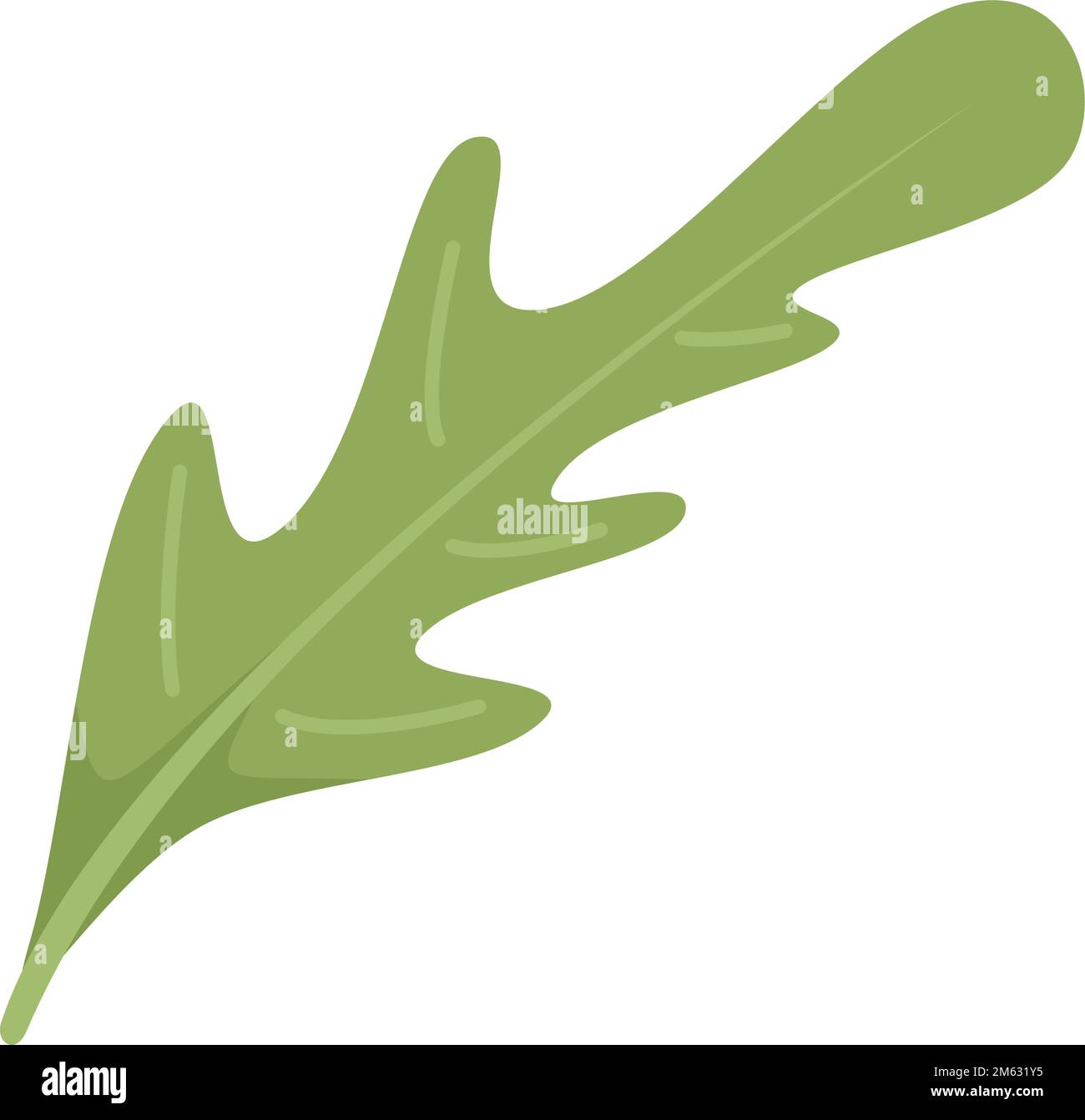 Lettuce arugula icon flat vector. Rucola salad. Leaf plant isolated ...