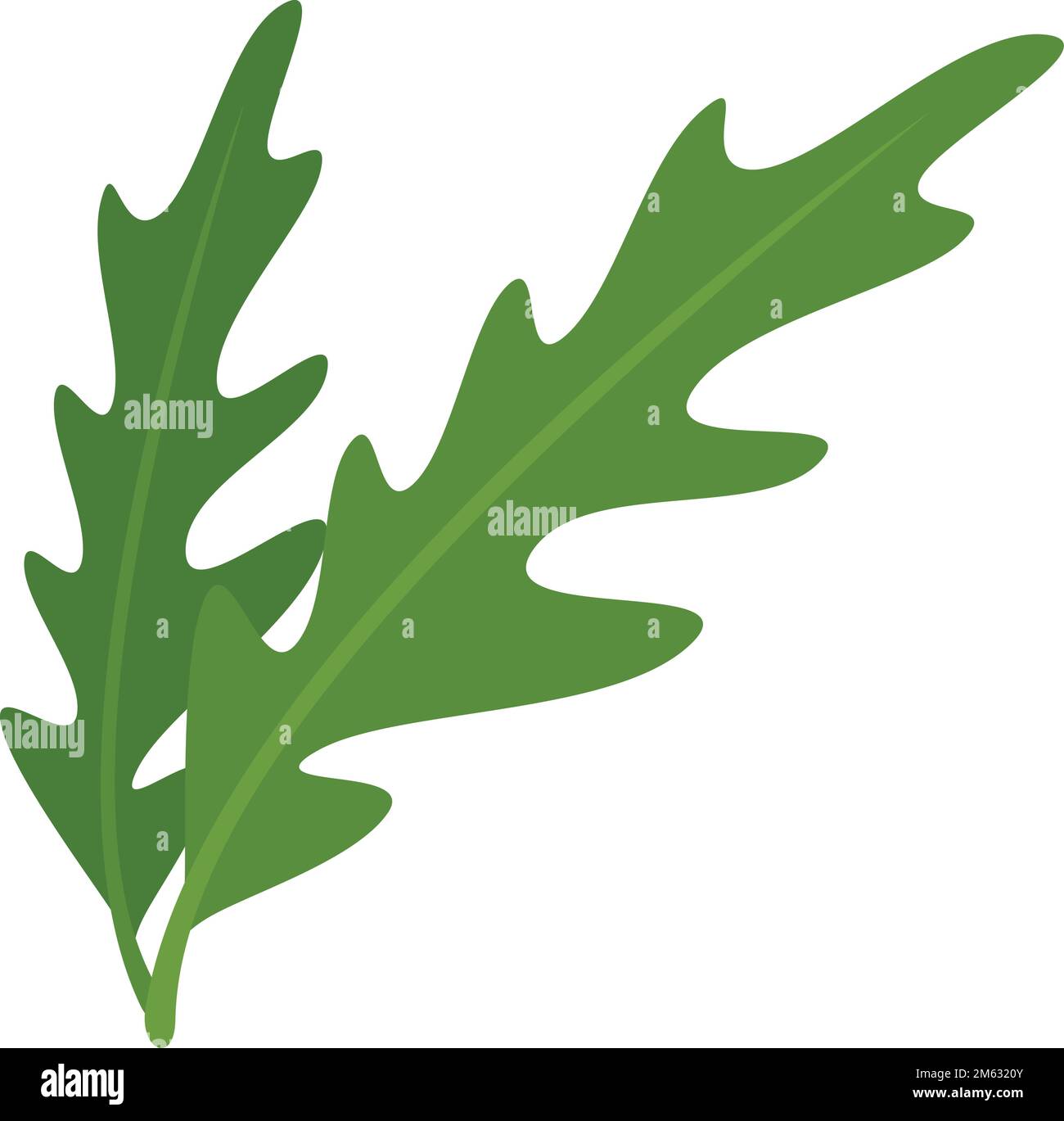 Rucola plant icon flat vector. Vegetable arugula. Leaf salad isolated Stock Vector Image & Art ...
