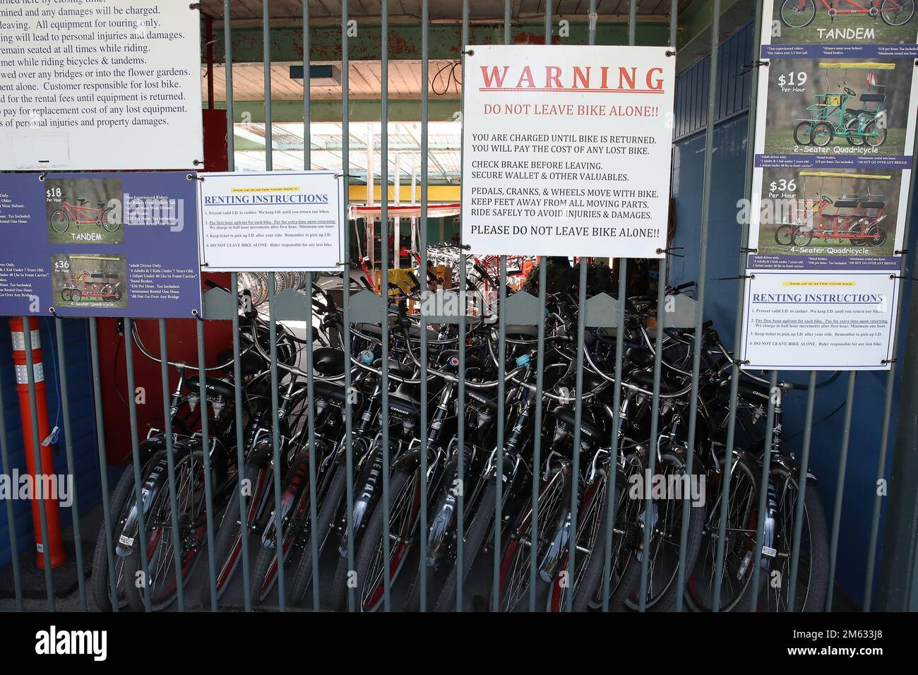 Toronto island bicycle rental hi-res stock photography and images - Alamy