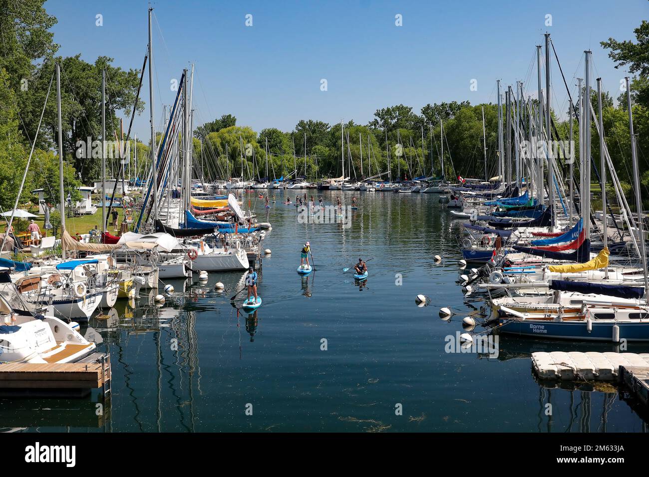 July 10 2022, Toronto Ontario Canada. Paddle boarders on the Great ...