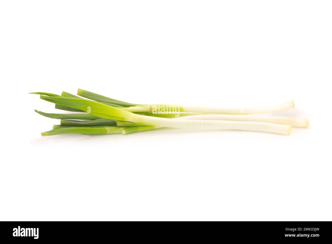 Green Japanese Bunching Onion on White Background Stock Photo - Alamy