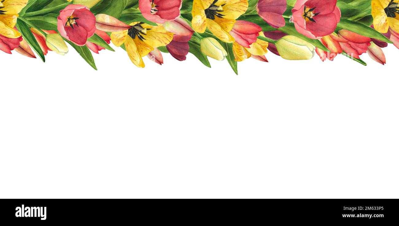 Seamless Garland Border with Tulips yellow and red isolated on white ...