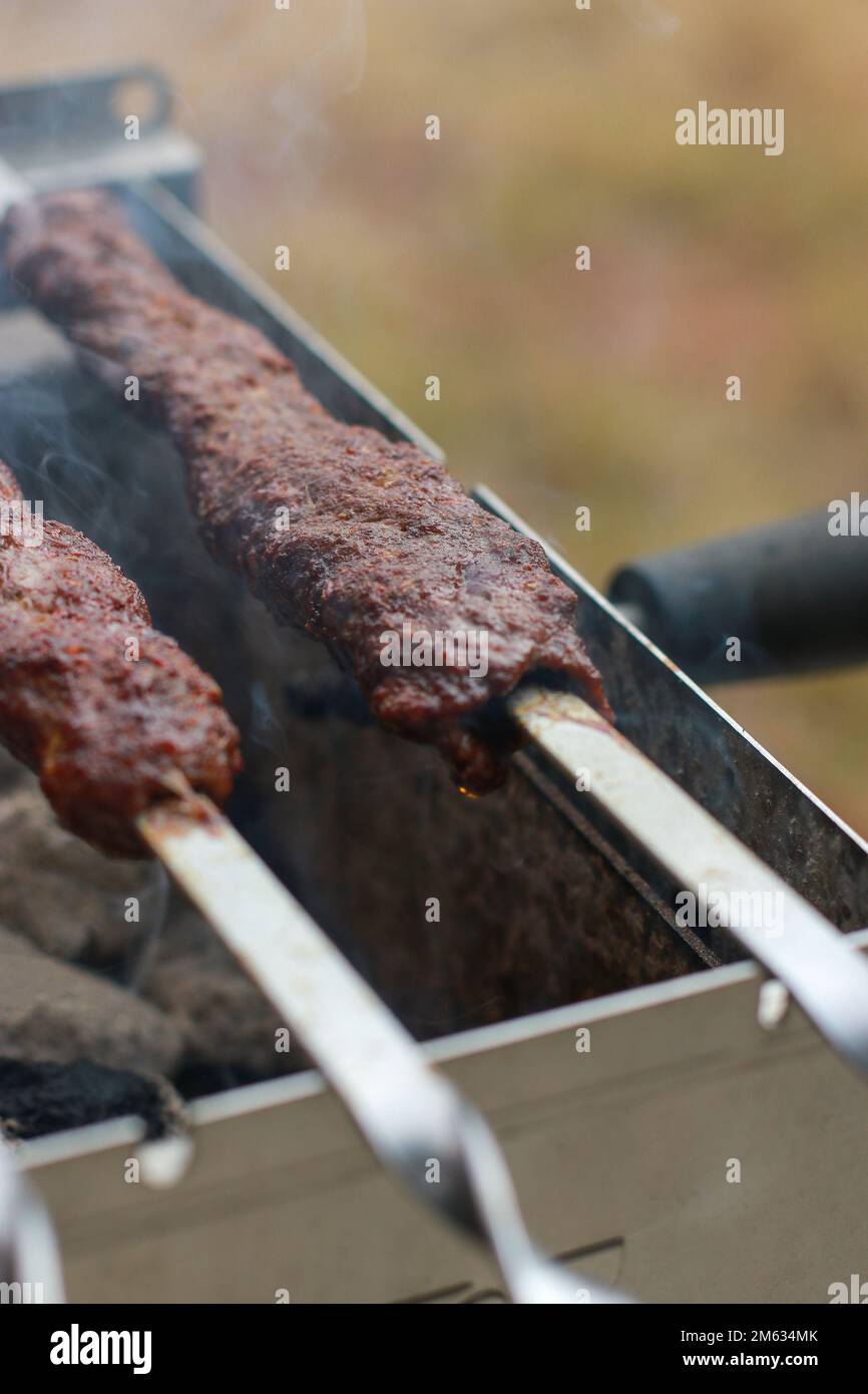 close up of grilled kebab on metal skewer on fire outdoors Stock Photo ...