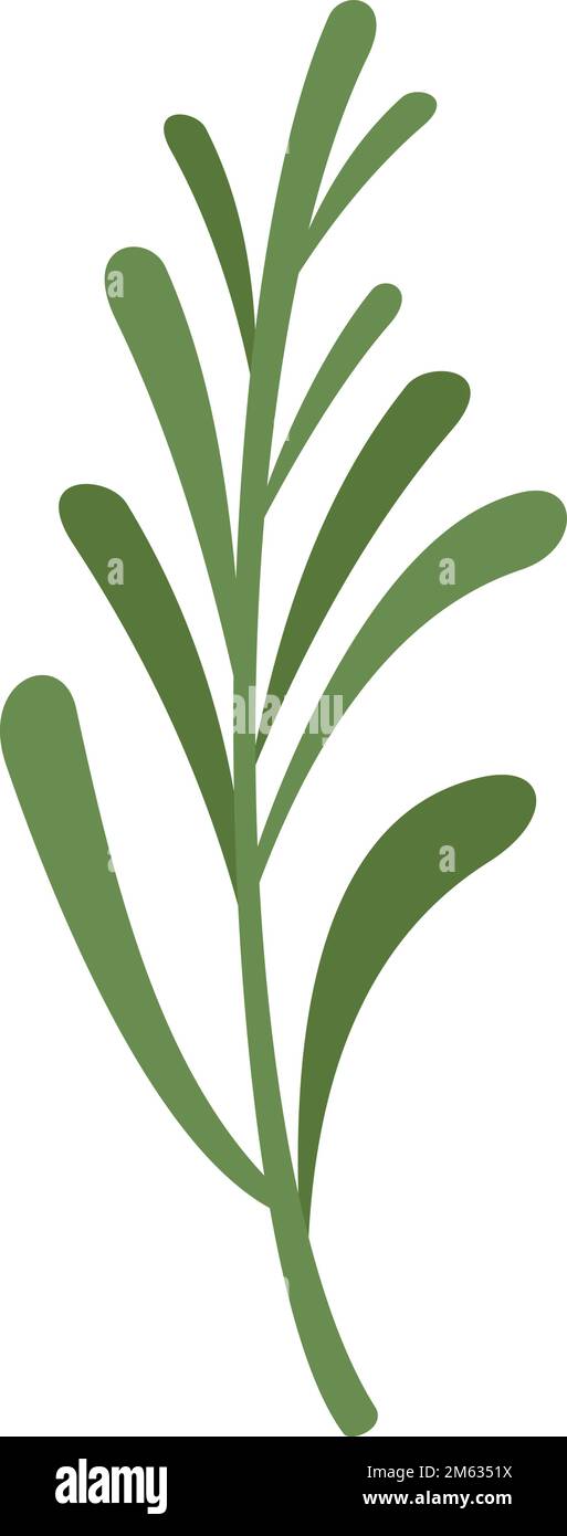 Rosemary icon flat vector. Herb plant. Branch leaf isolated Stock ...