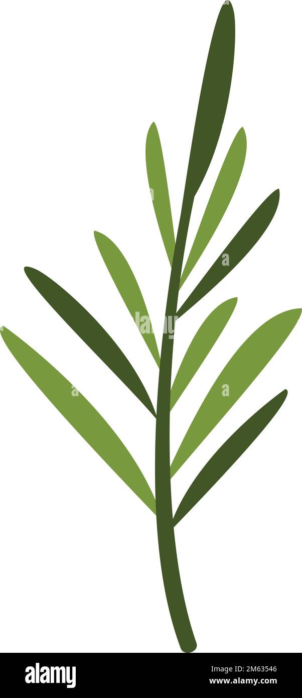 Rosemary leaf icon flat vector. Leaves plant. Green food isolated Stock ...