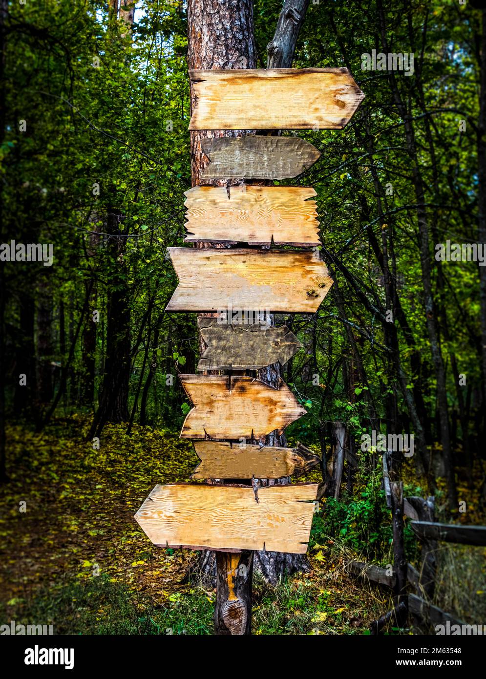 Wooden signs-pointers in a deep dark forest Stock Photo - Alamy