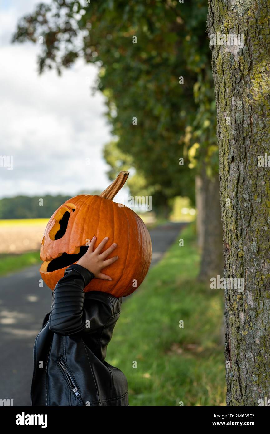 A vertical shot of a person with a pumpkin head Stock Photo - Alamy
