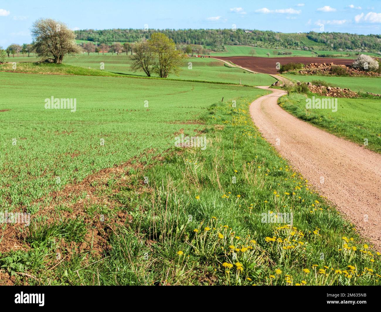 Winding dirt road in the countryside Stock Photo - Alamy