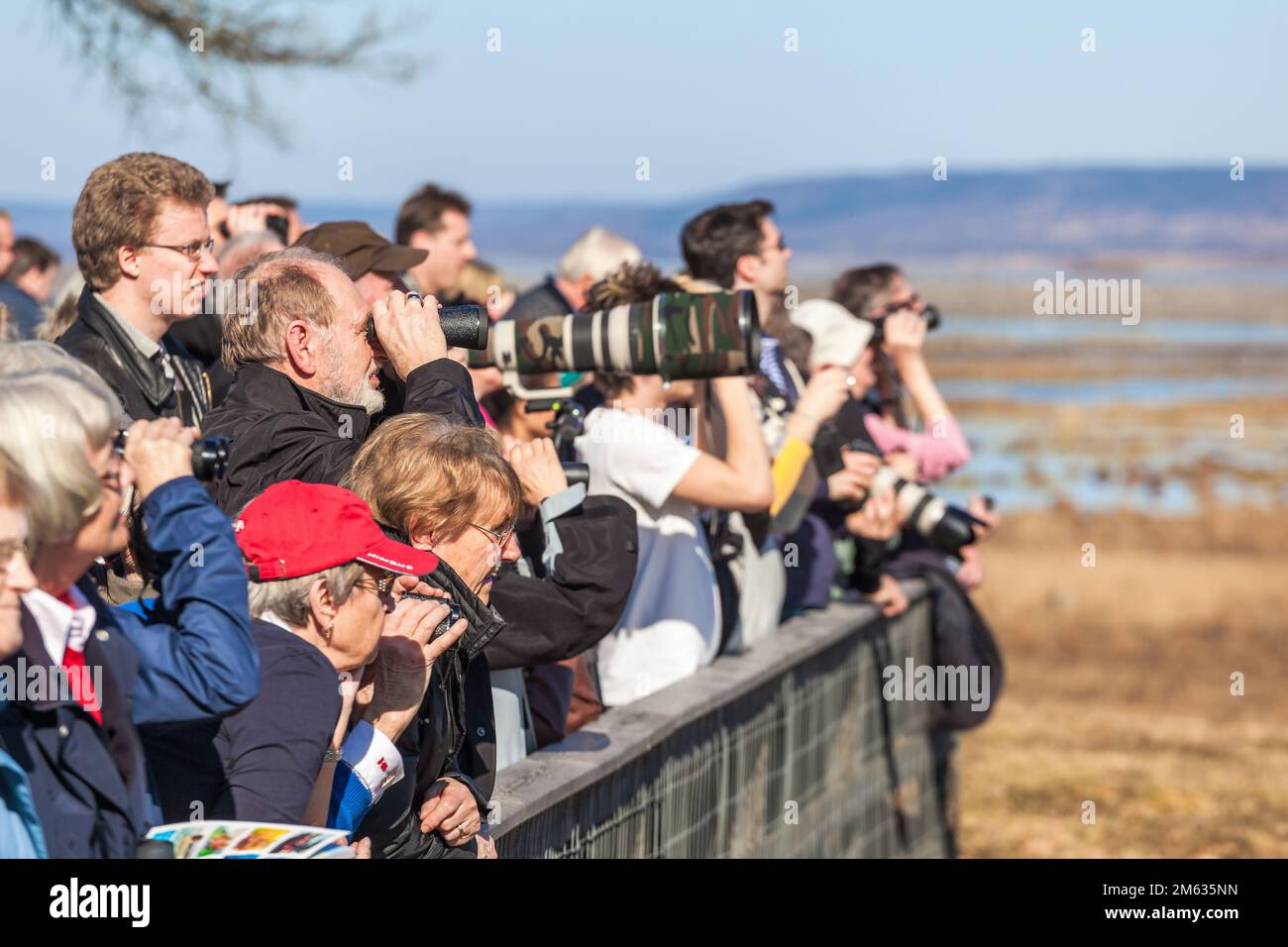 Female photographer birding bird watching hi-res stock photography and ...
