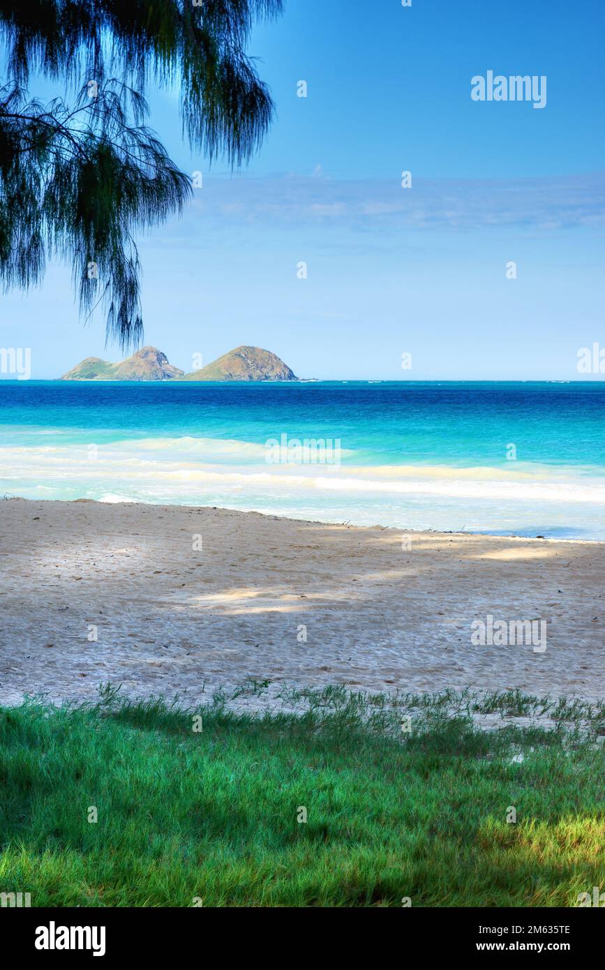 Bellows field beach park hi-res stock photography and images - Alamy