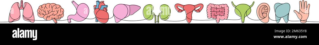 Set of human organ one line continuous drawing. Lungs, brain, stomach, tooth, bladder, liver ...