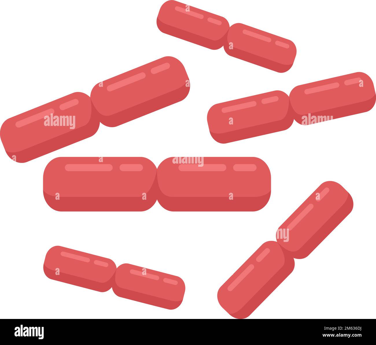 Fermentation probiotic icon flat vector. Gut bacteria. Healthy ...