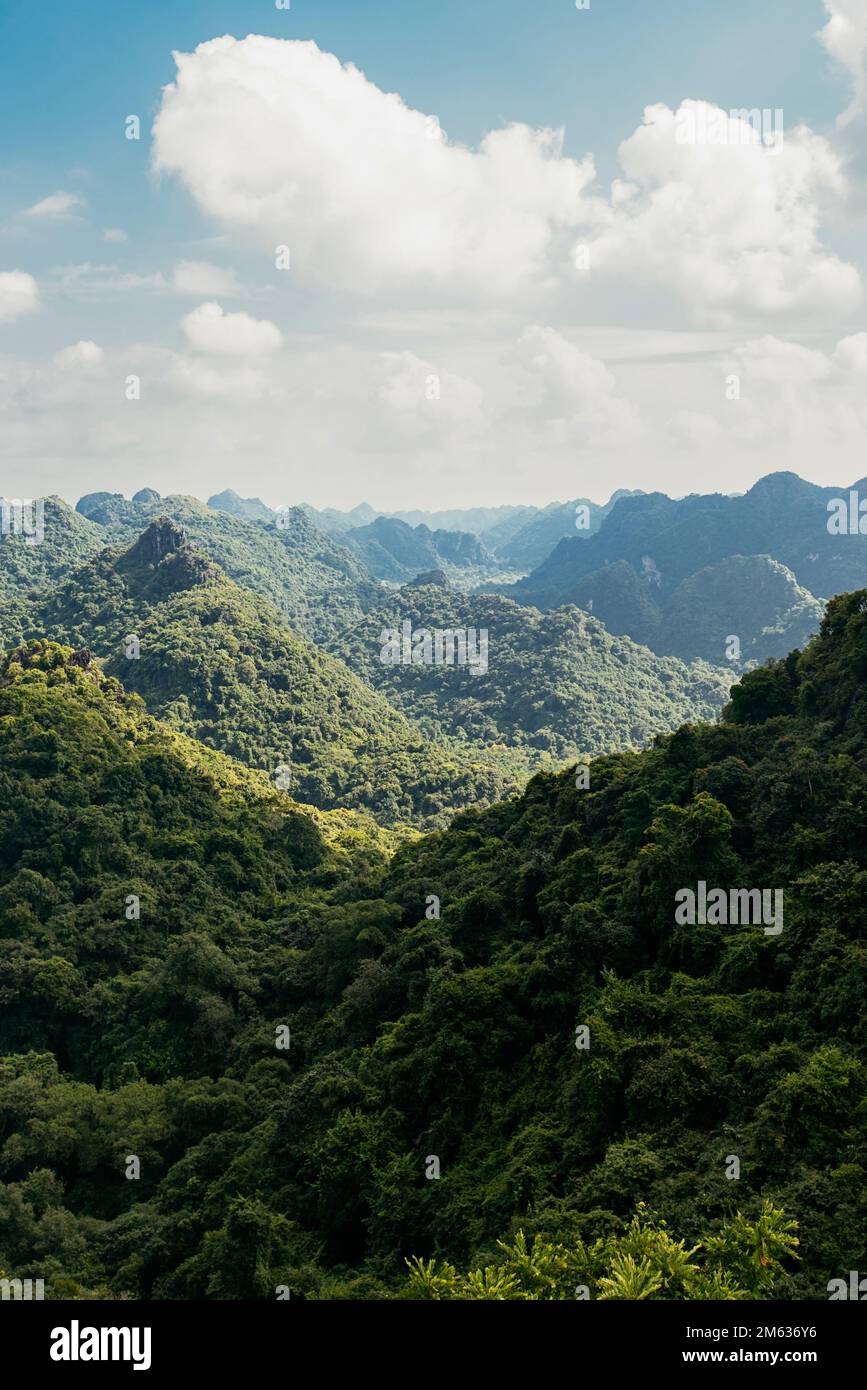 Breathtaking scenery of massive mountain range covered with lush green ...