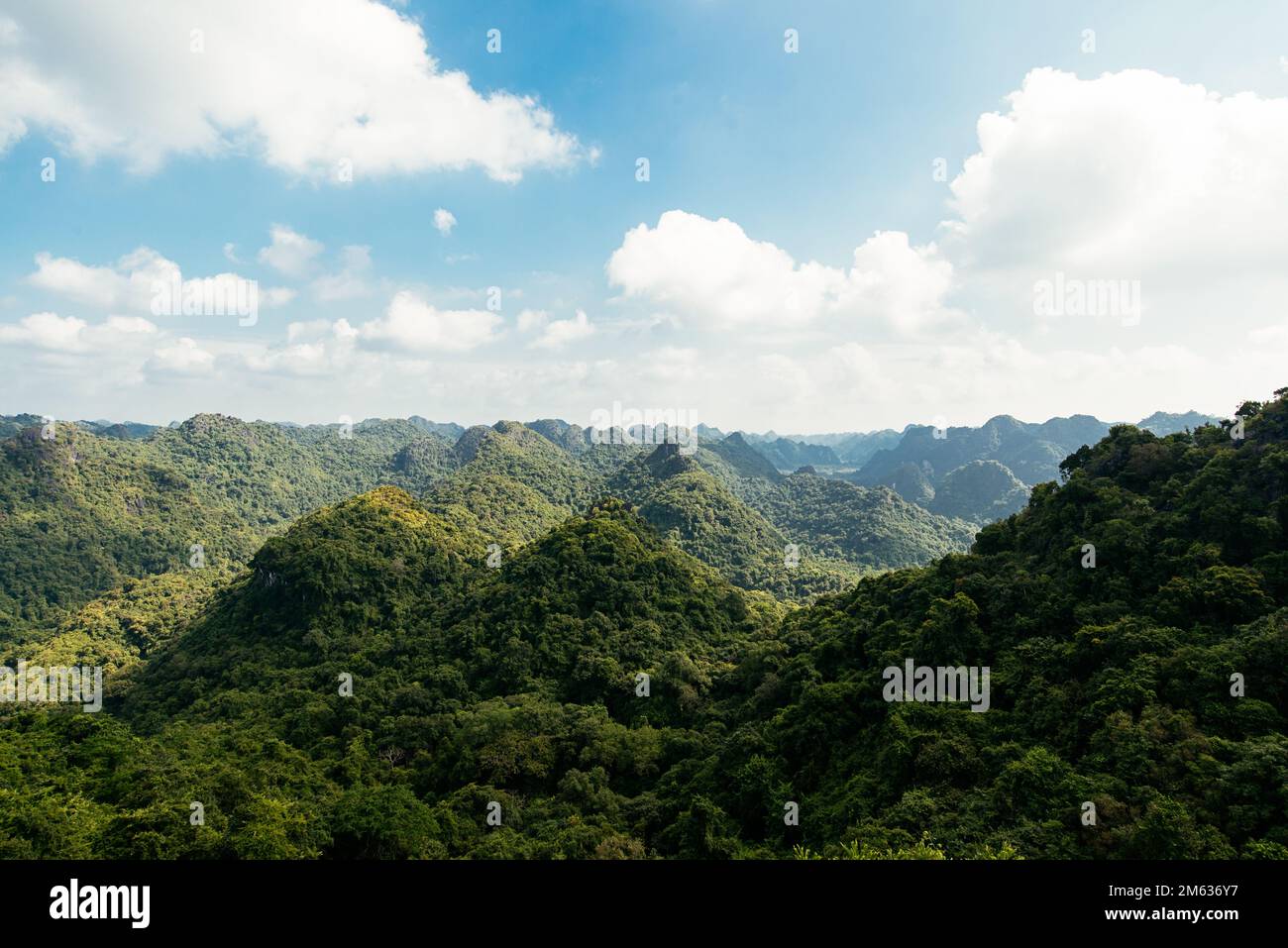 Breathtaking scenery of massive mountain range covered with lush green ...