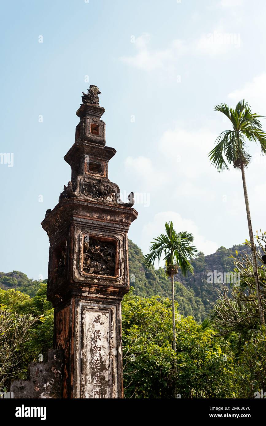 Low angle of ancient pillar located among green tropical plants and ...