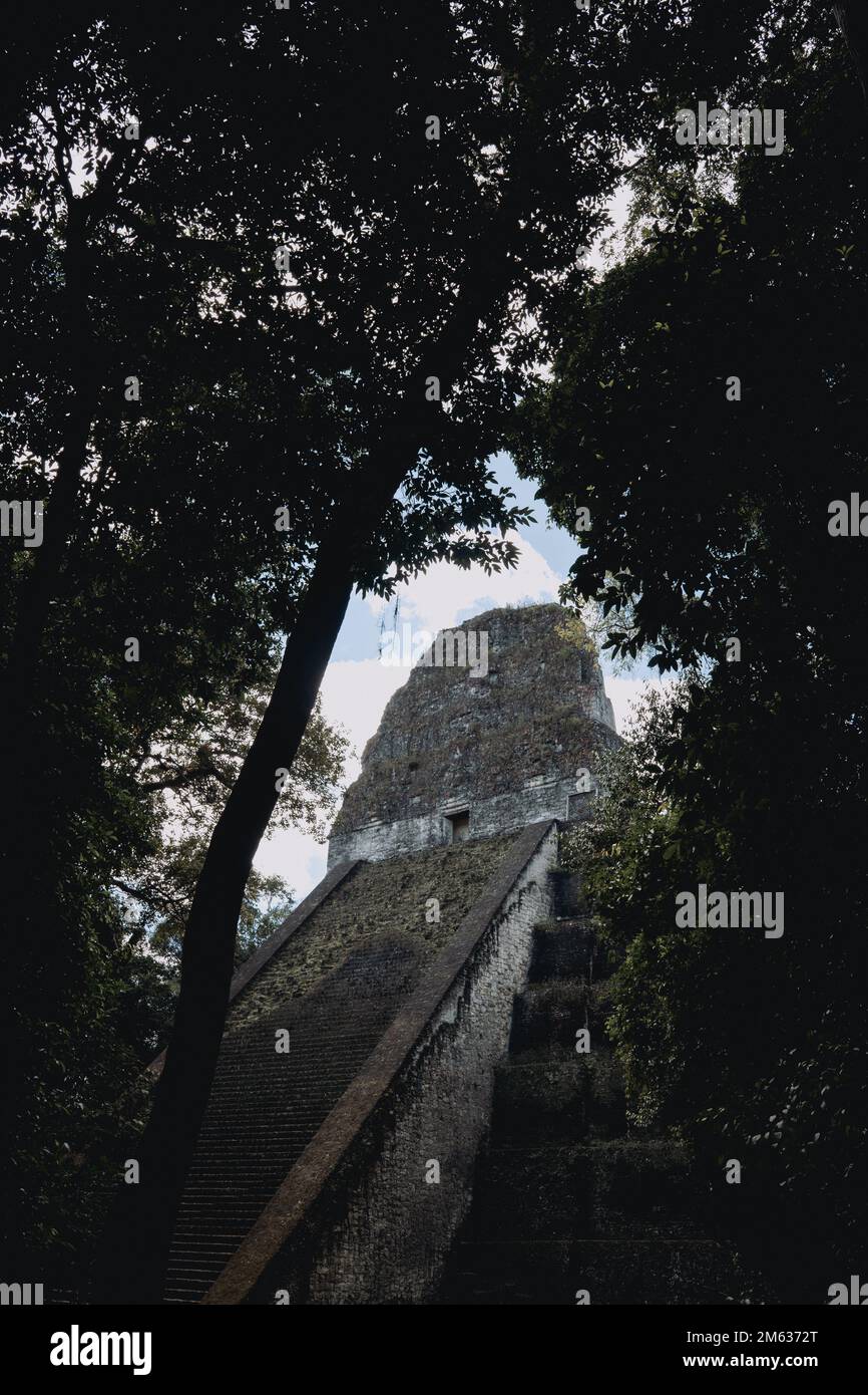 Low angle of ancient limestone Tikal Temple I on grassy field at ...