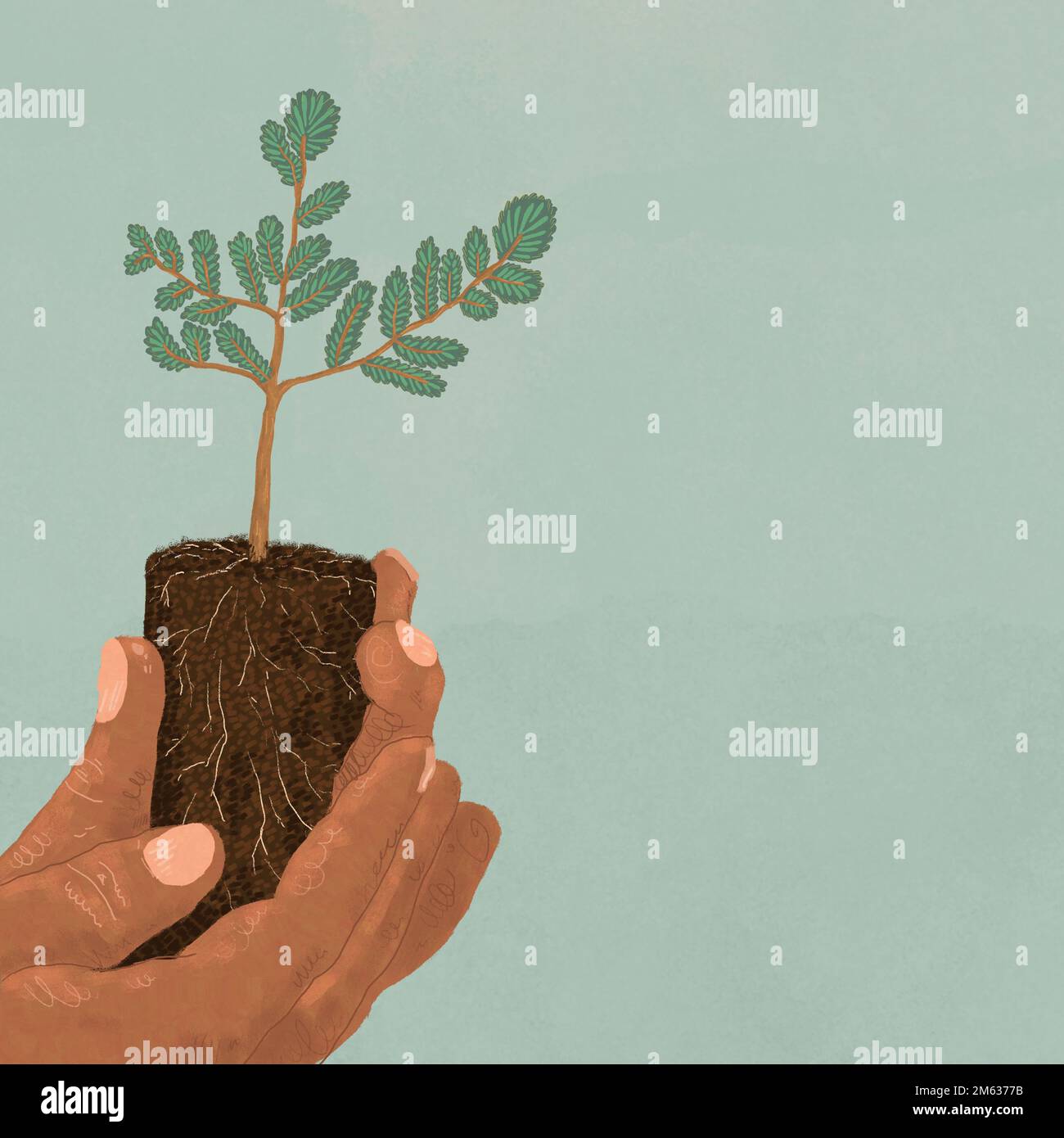 Vector illustration of crop mature female farmer demonstrating planted ...