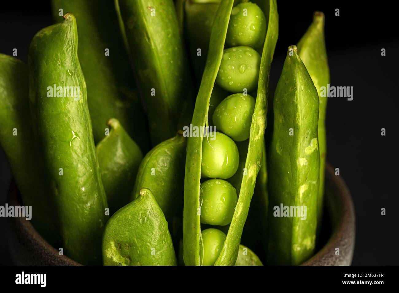 Bunch of ripe green pods with fresh peas placed in ceramic pot against ...