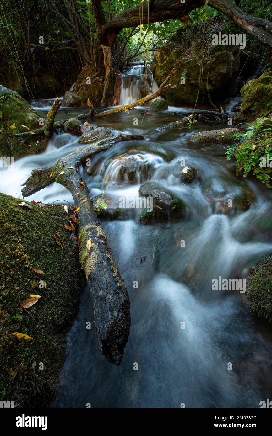 Long exposure of rapid stream flowing between green trees in forest ...