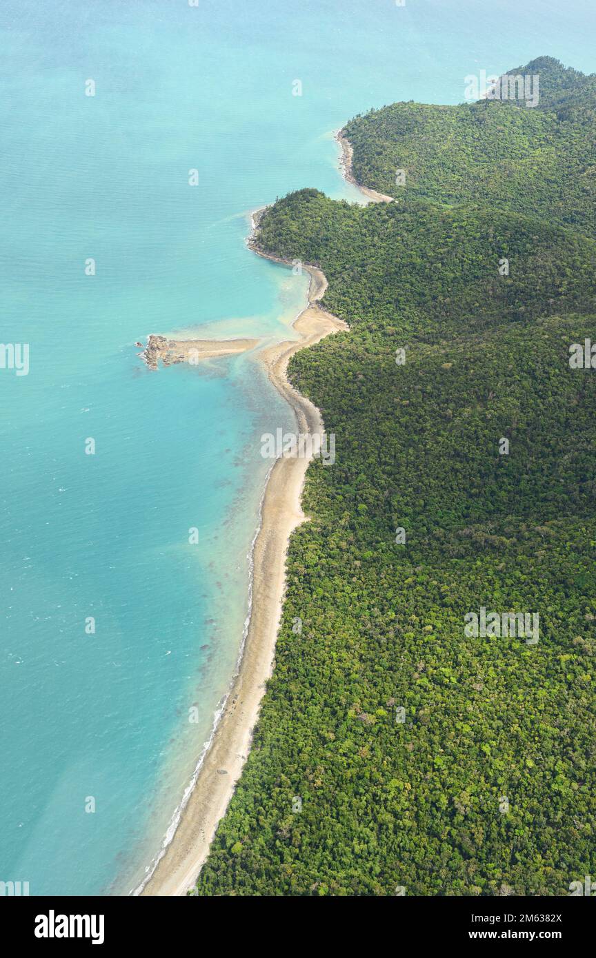 Aerial view of sandy beach with near forest with lush green trees ...