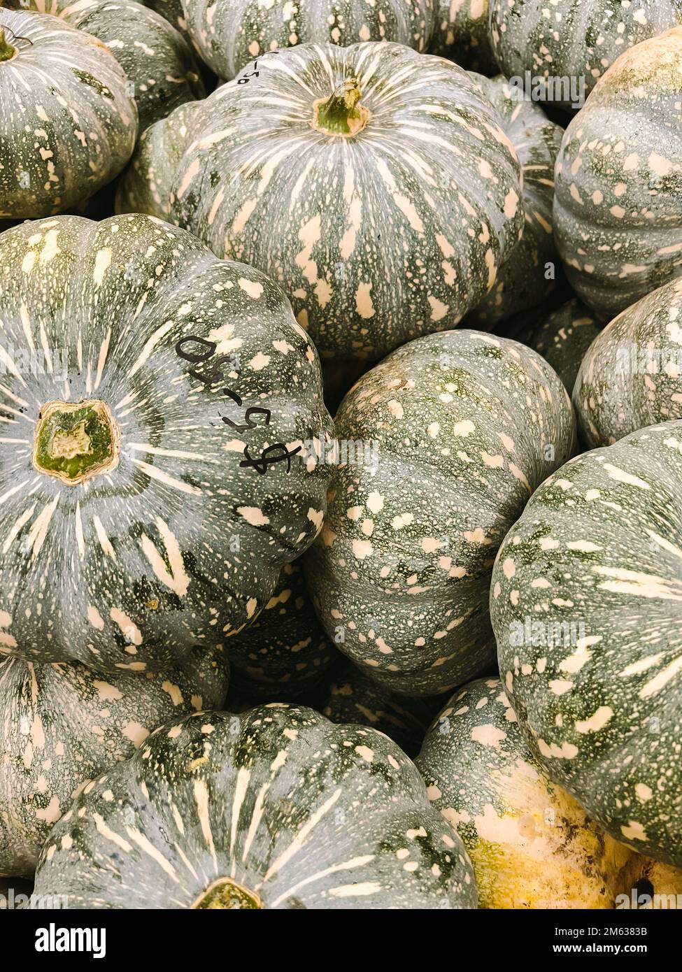 From above of heap of fresh green pumpkins placed on stall in local ...