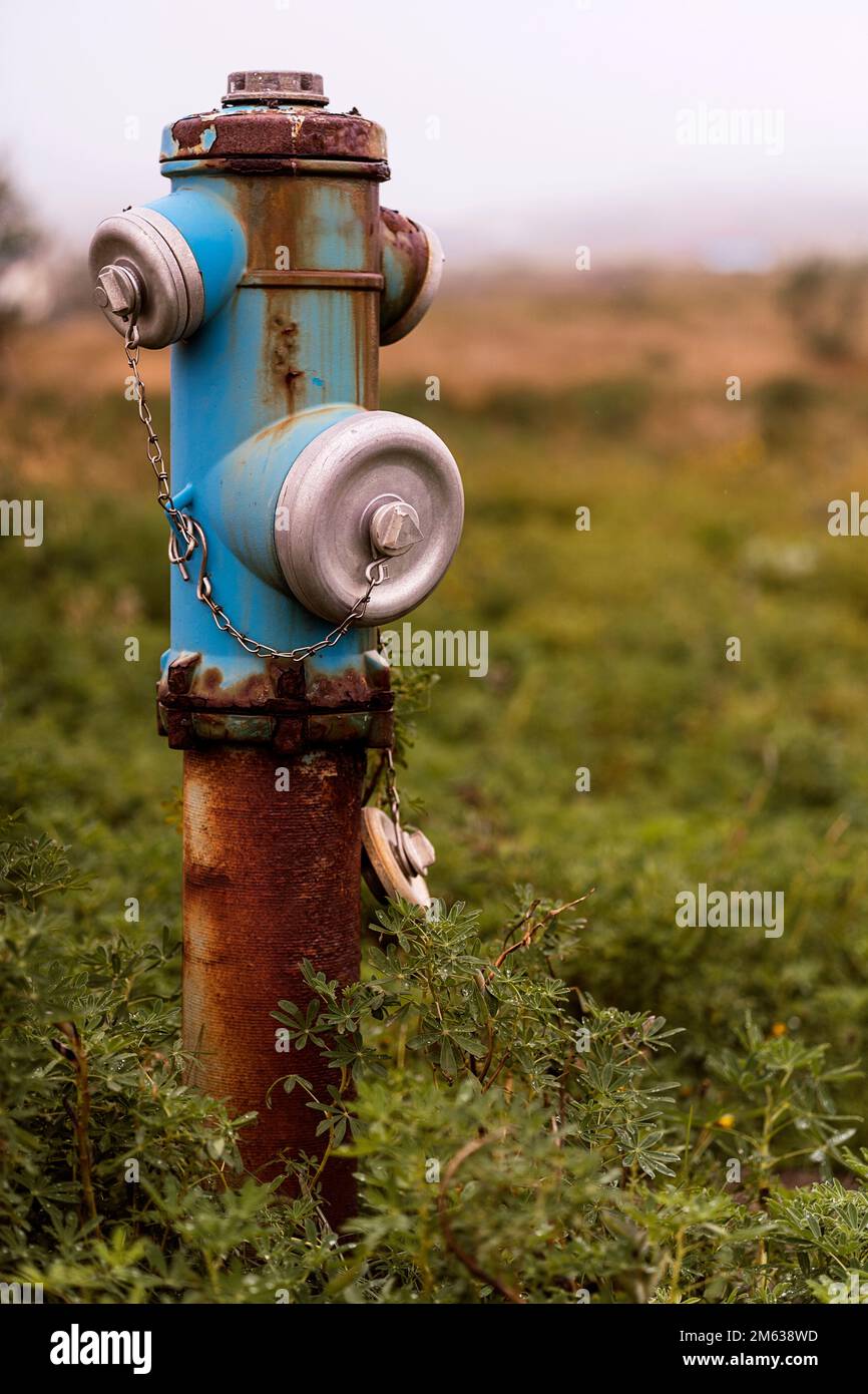 Metal blue old fire hydrant placed on grassy ground against blurred ...