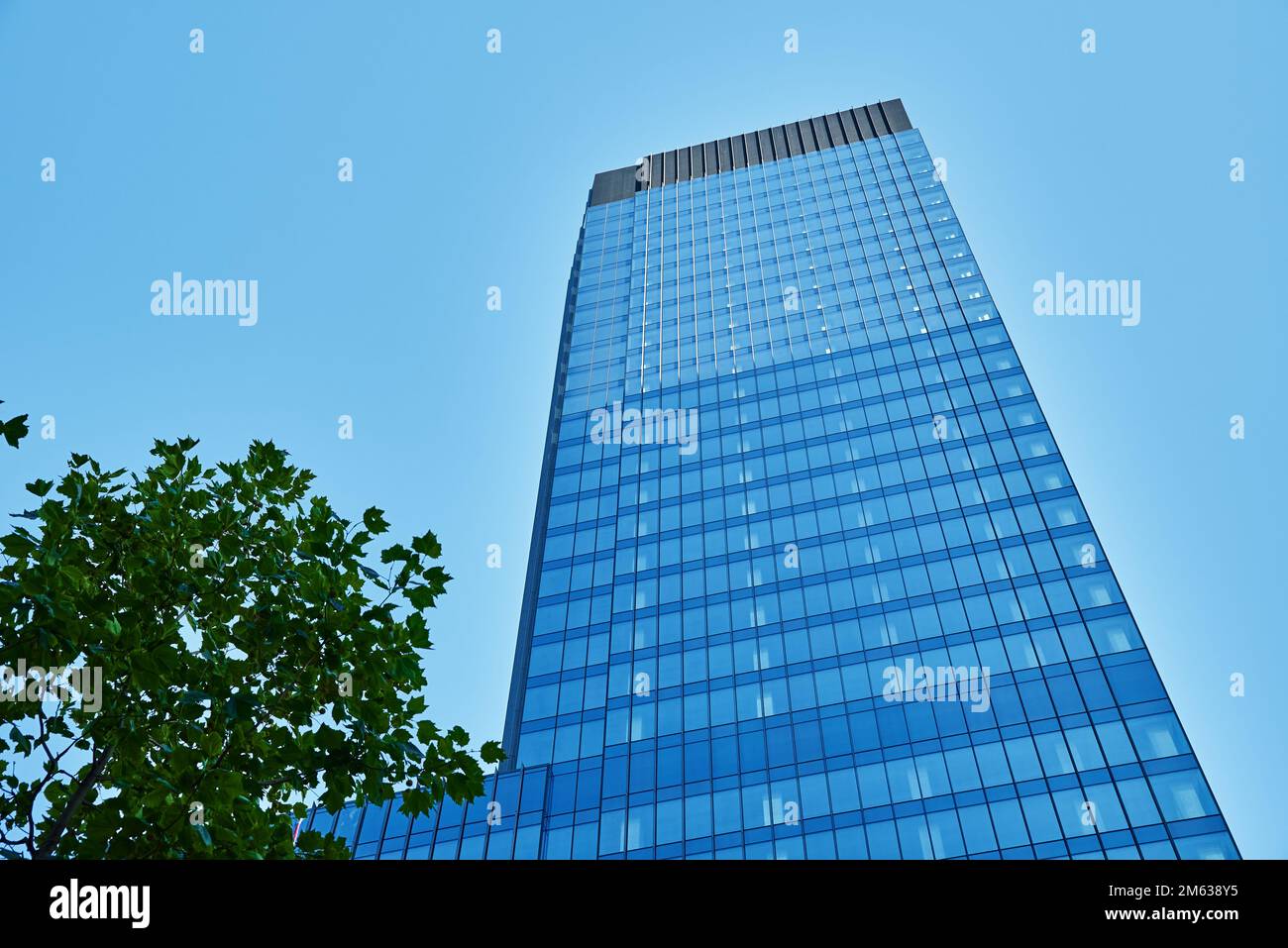 Modern city architecture, Skyscraper glass facade with green tree ...