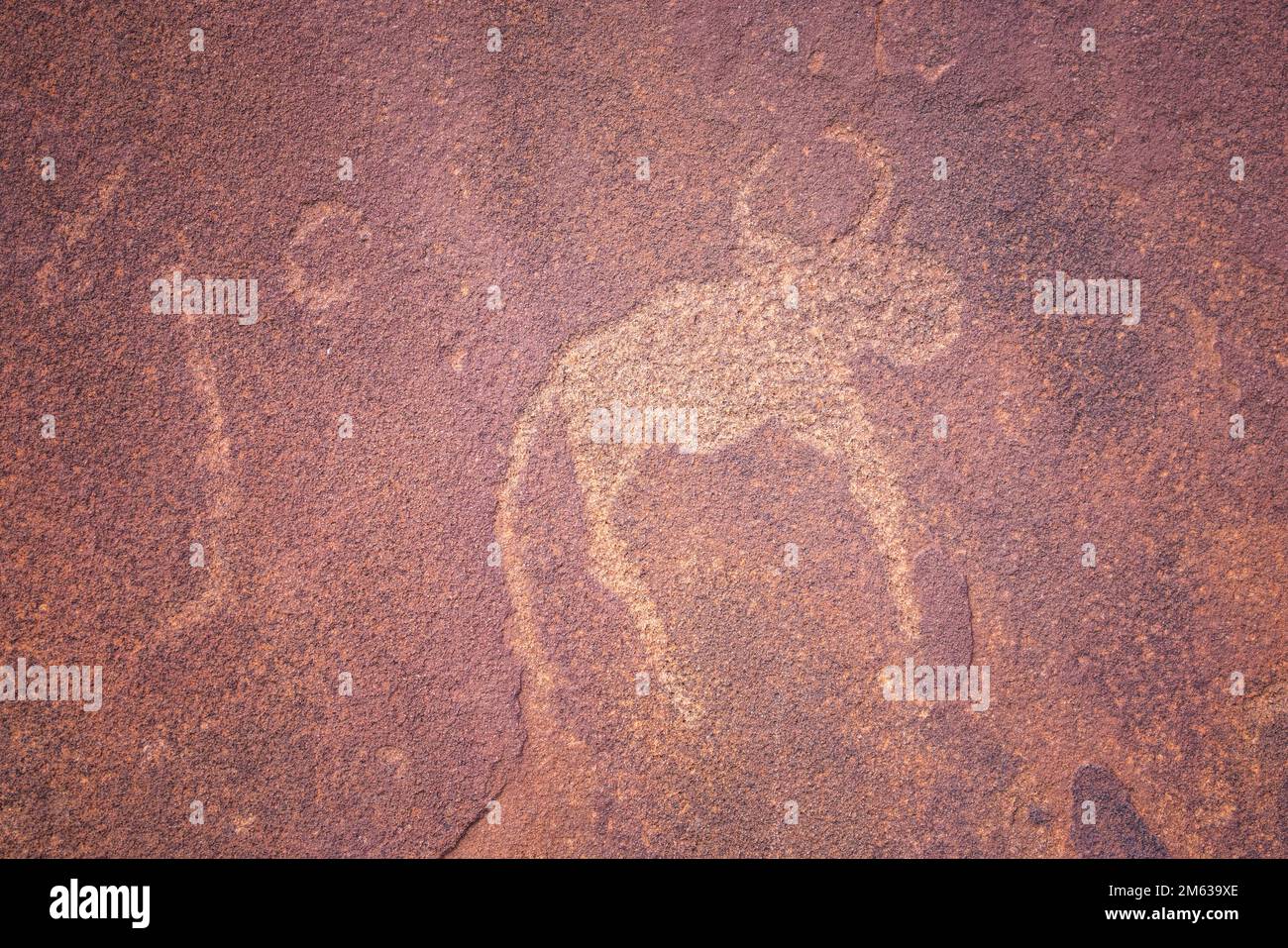 Bushman prehistoric rock engravings at UNESCO World Heritage Center in ...