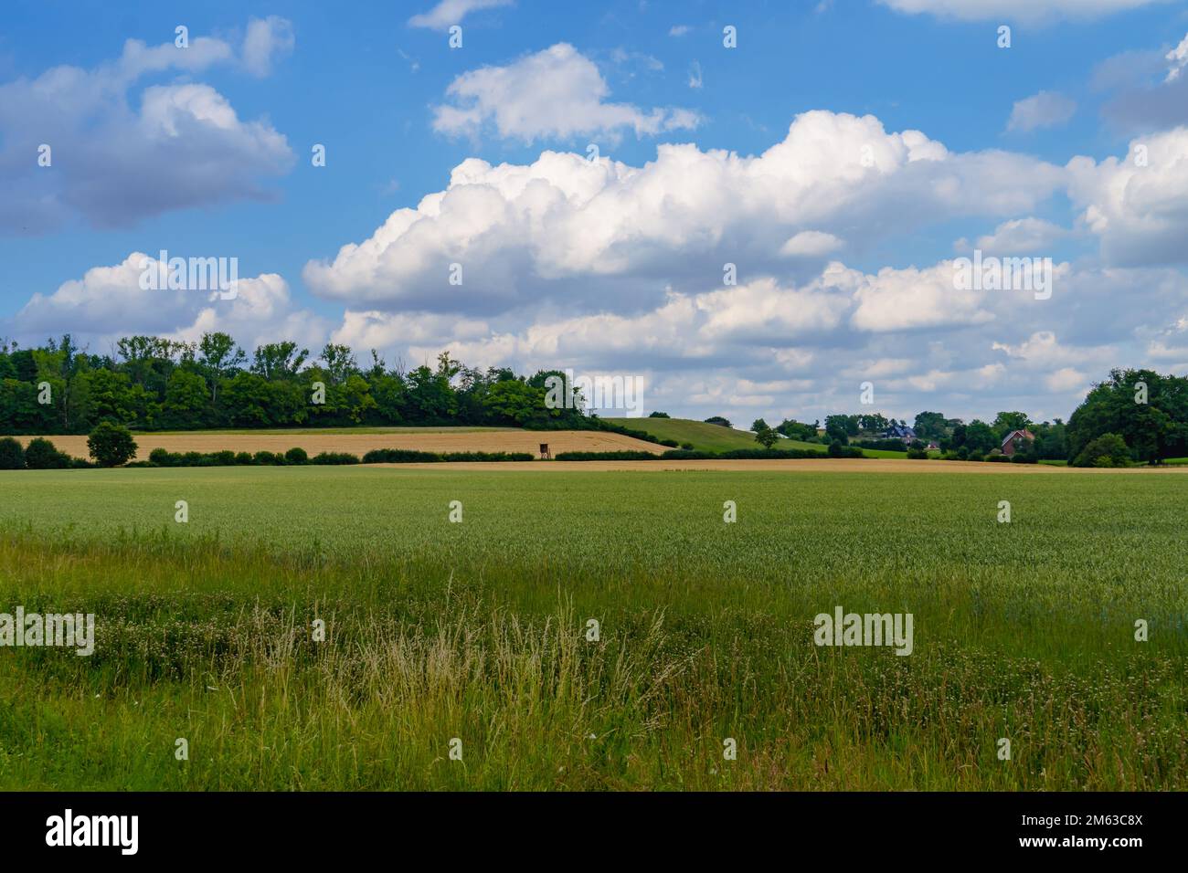 Landscape at Halberg near Dolberg Stock Photo - Alamy