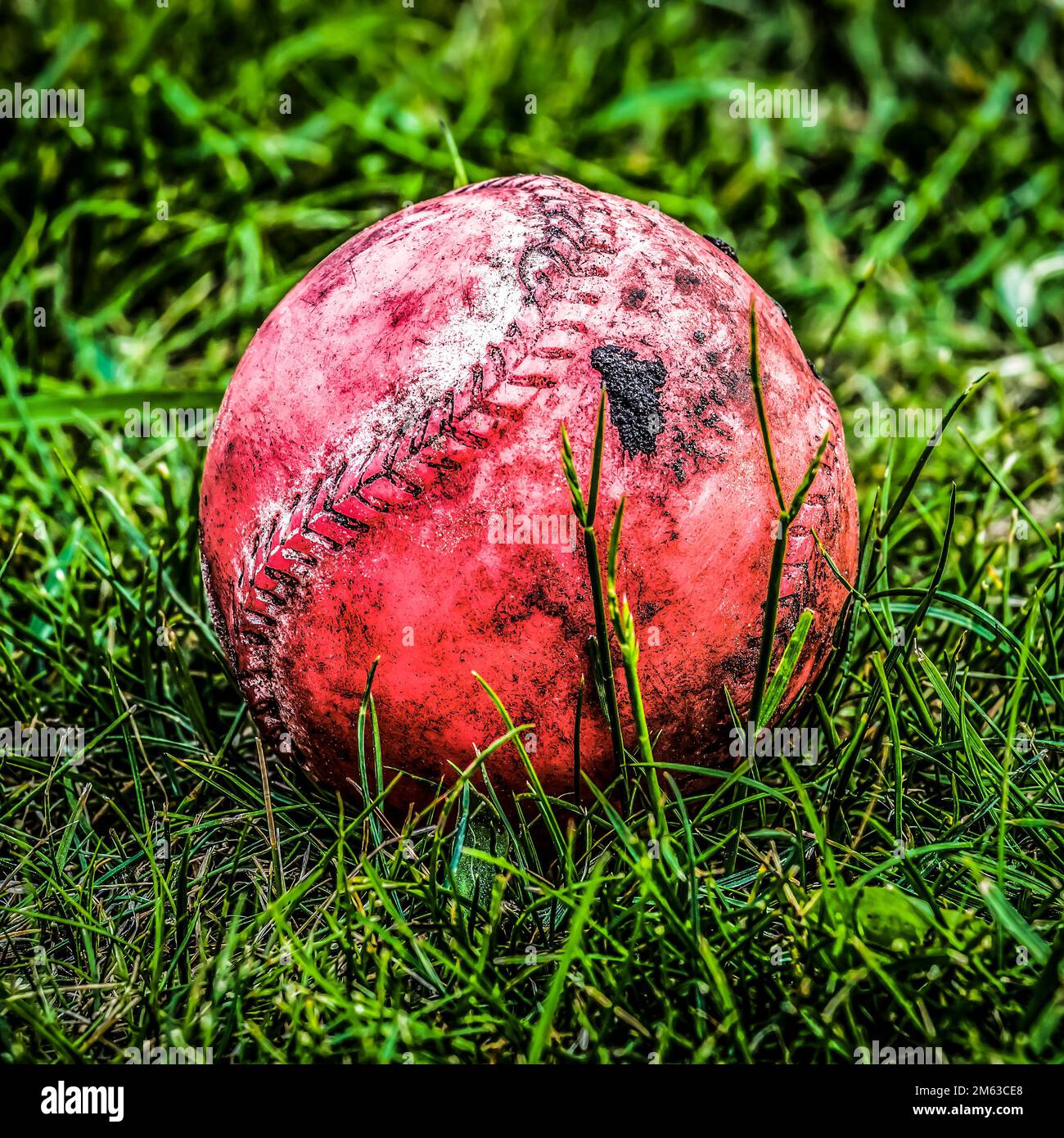 Dirty red ball lying on the green grass in the backyard Stock Photo - Alamy