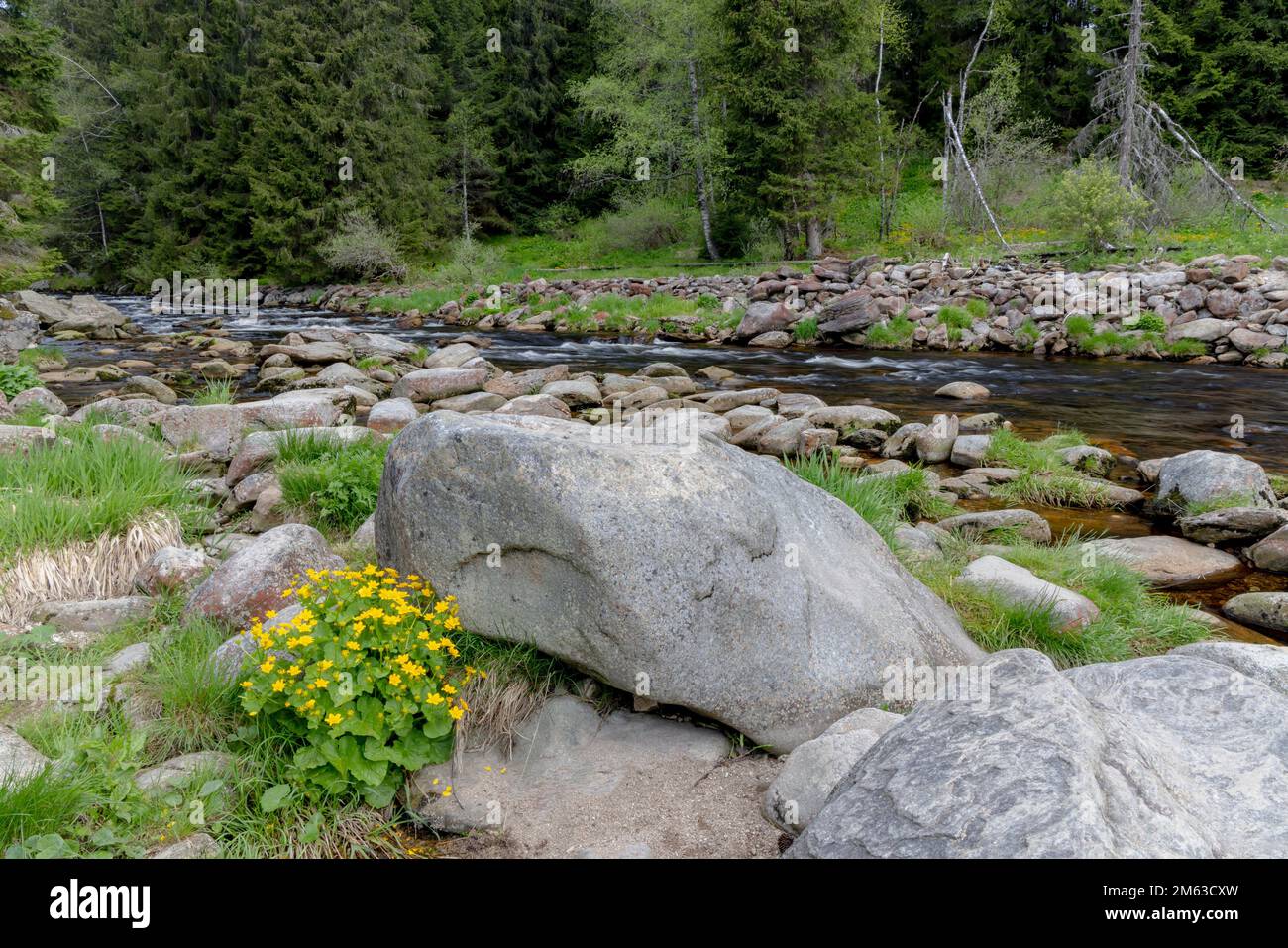 Sumava national park hi-res stock photography and images - Alamy
