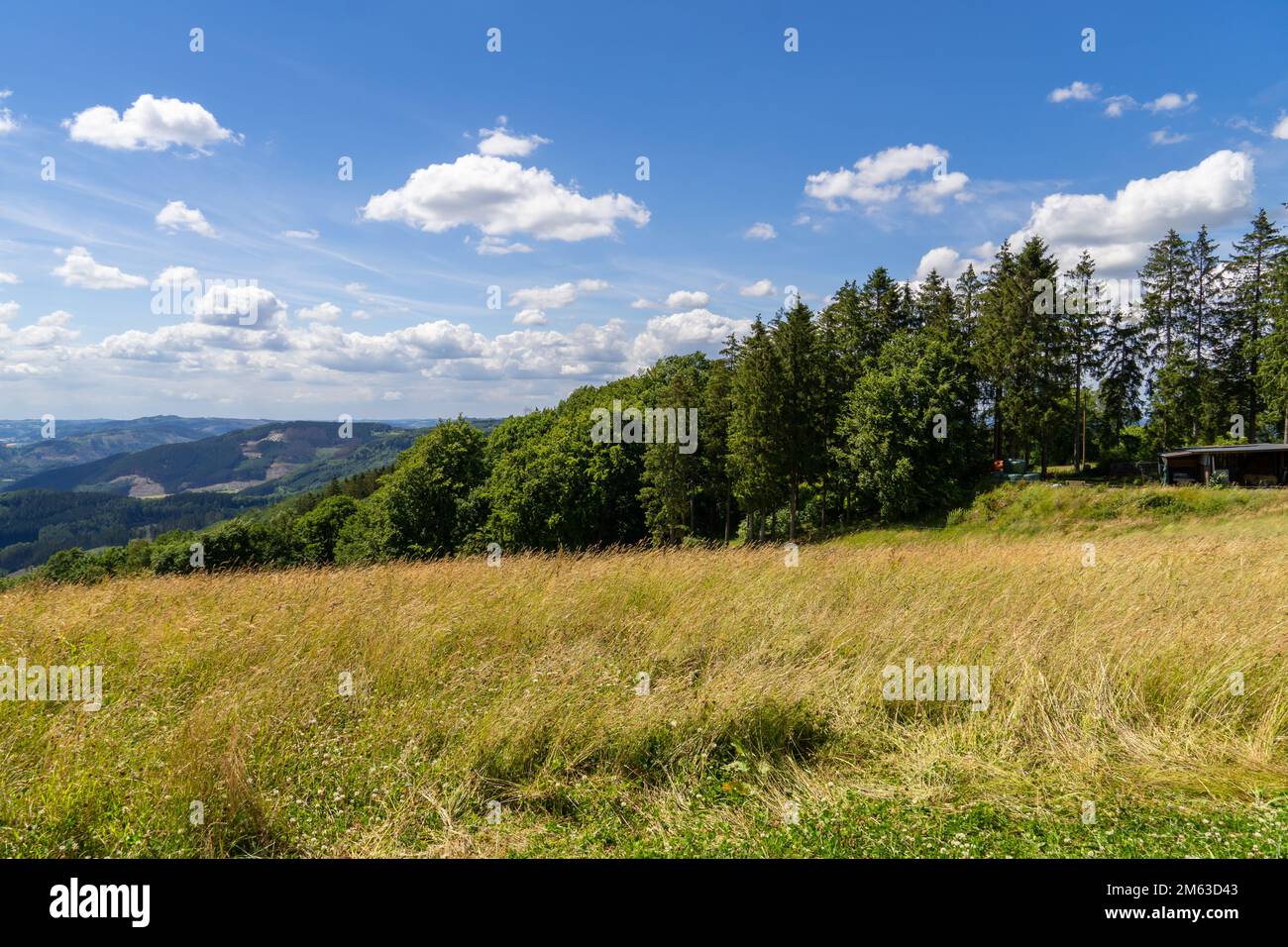 Landscape at Schomberg in Sauerland. Nature with forests and hiking ...