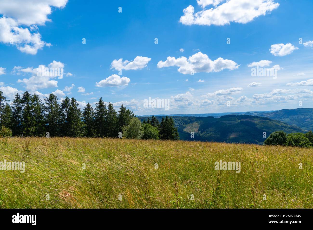 Landscape at Schomberg in Sauerland. Nature with forests and hiking ...