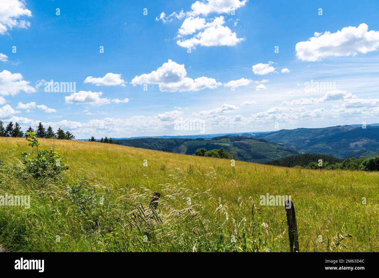 Landscape at Schomberg in Sauerland. Nature with forests and hiking ...