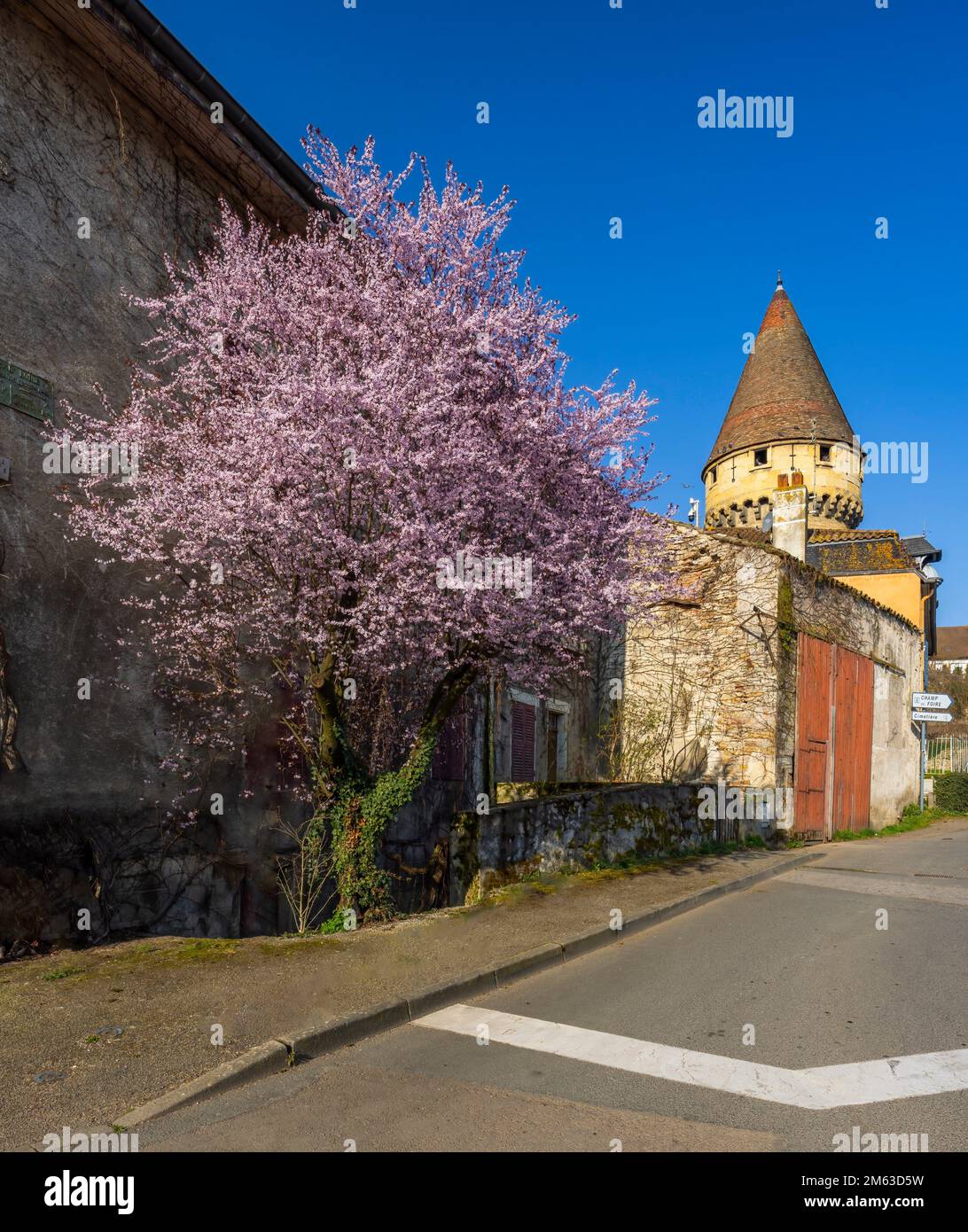 Abbey of cluny cathedral hi-res stock photography and images - Alamy